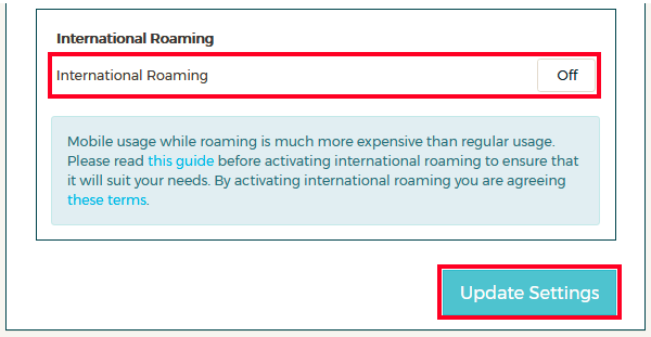 International Roaming: Activation, Charges, Usage Check, and Tips ...
