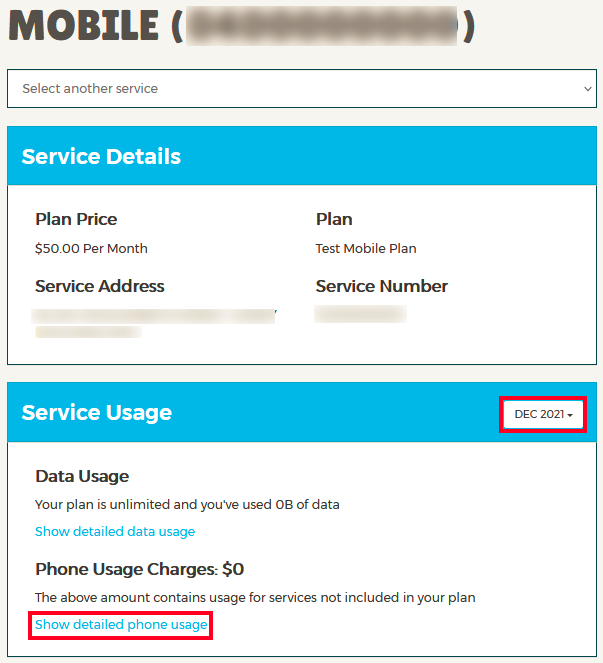 International Roaming: Activation, Charges, Usage Check, and Tips ...